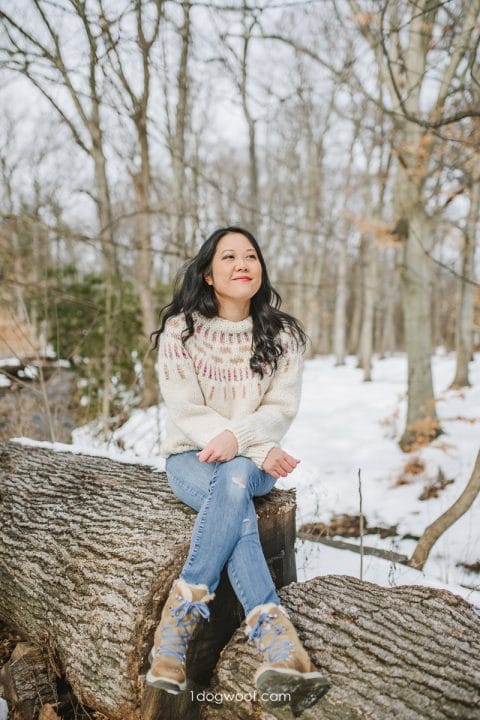 Falling Water Sweater: for Beginner Colorwork Knitters - One Dog Woof