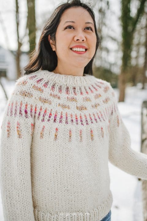 Falling Water Sweater: for Beginner Colorwork Knitters - One Dog Woof